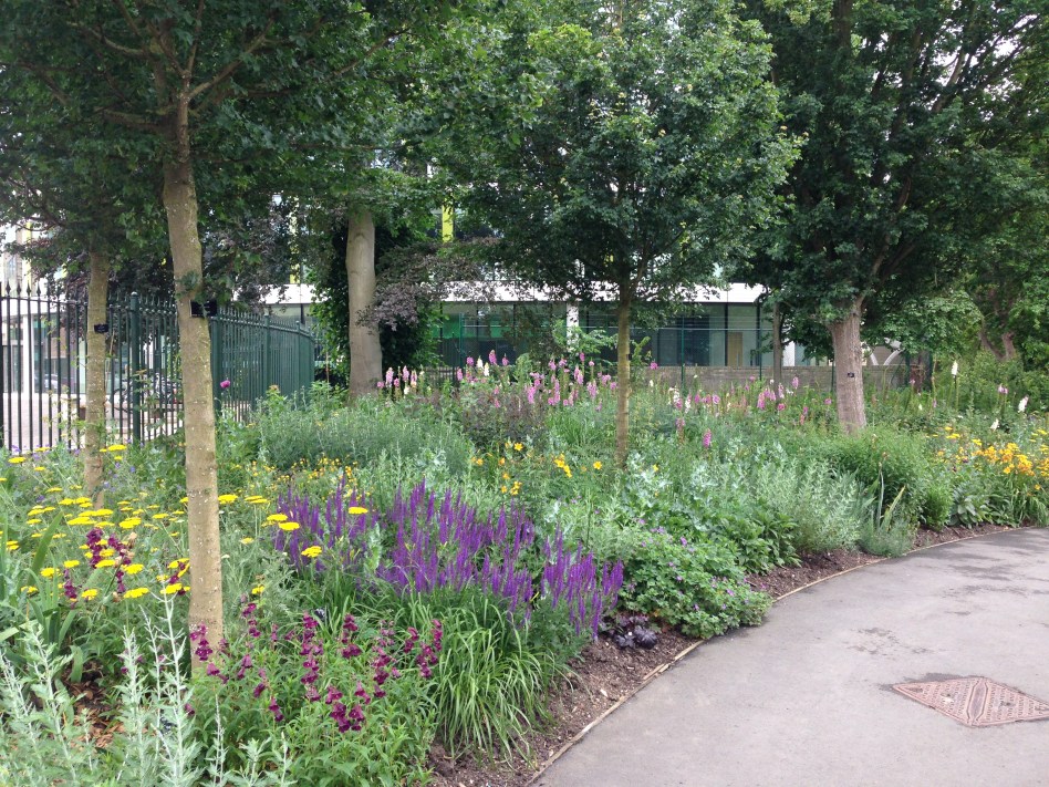 Simple Garden Design Trick: Repeater Plants – Janna Schreier Garden Design