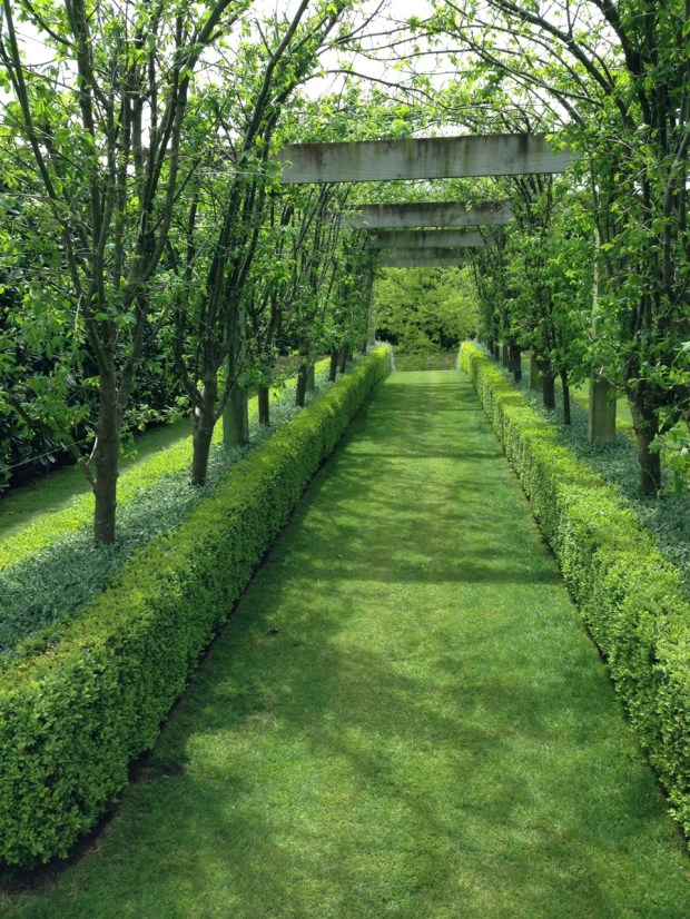 The Best of the Taranaki Garden Festival, 2014 – Janna Schreier Garden ...