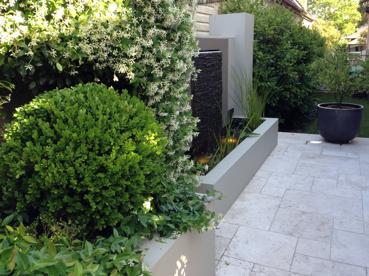 Formal pond with water plants – Janna Schreier Garden Design