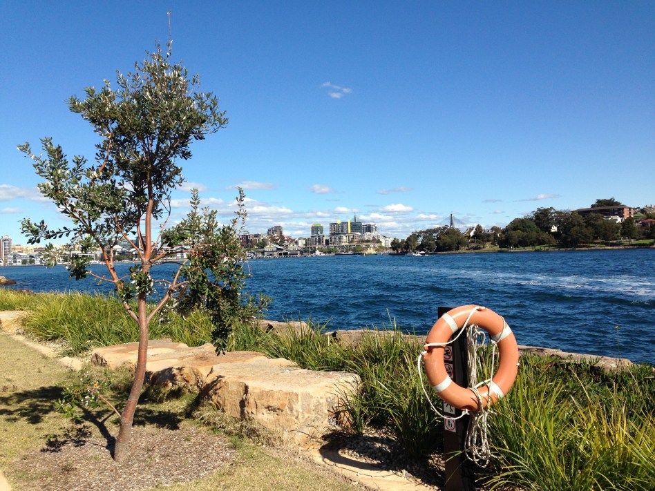 Native gardens of the brand new Barangaroo Reserve – Janna Schreier ...