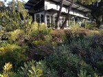 Native and exotic styles at Kings Park, Perth – Janna Schreier Garden ...