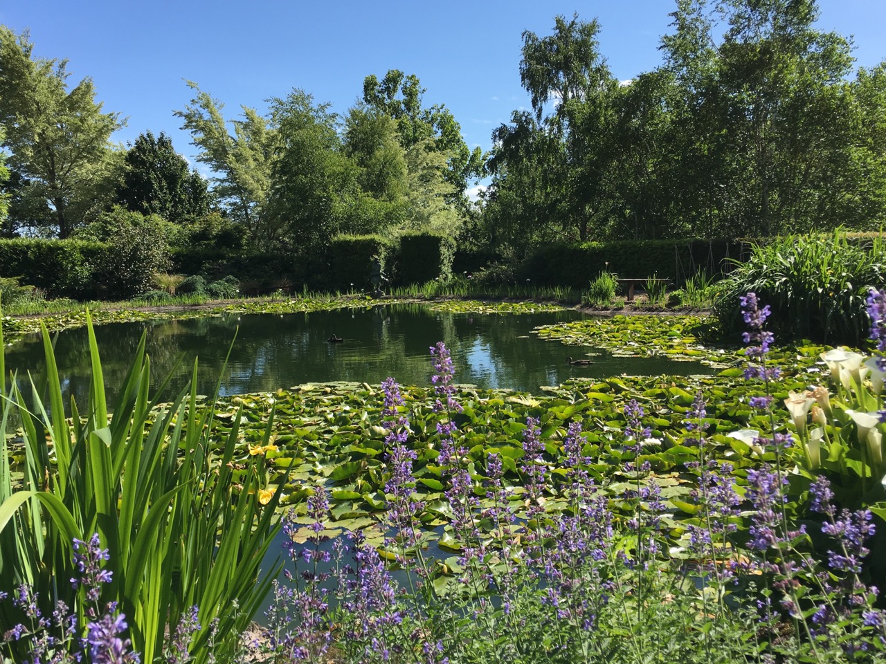 A Victorian garden extravaganza – Janna Schreier Garden Design