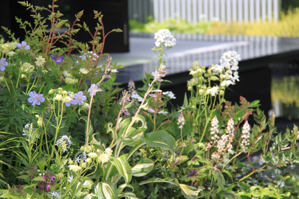 Favourite plantings from The Chelsea Flower Show, 2016 – Janna Schreier ...