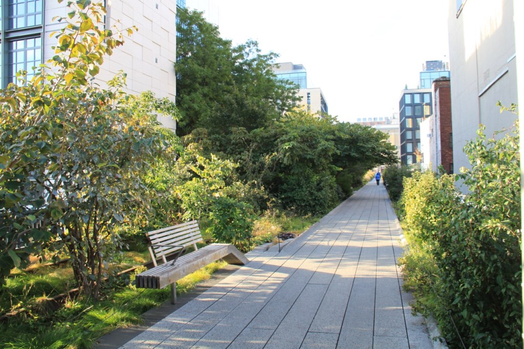 A journey of the High Line planting – Janna Schreier Garden Design