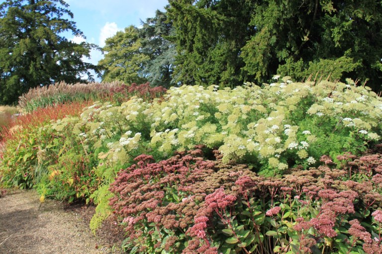 Trentham Gardens – Janna Schreier Garden Design