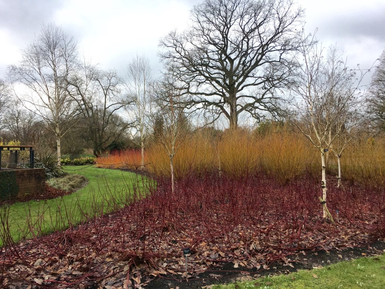 Sir Harold Hillier Gardens, Hampshire – Janna Schreier Garden Design
