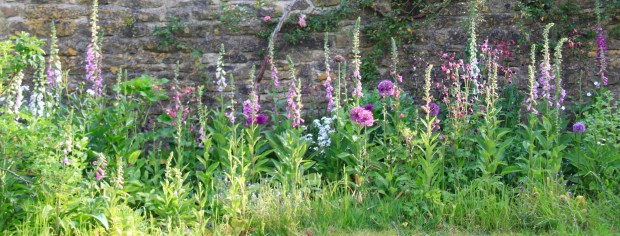 May: Nature unfolds – Janna Schreier Garden Design