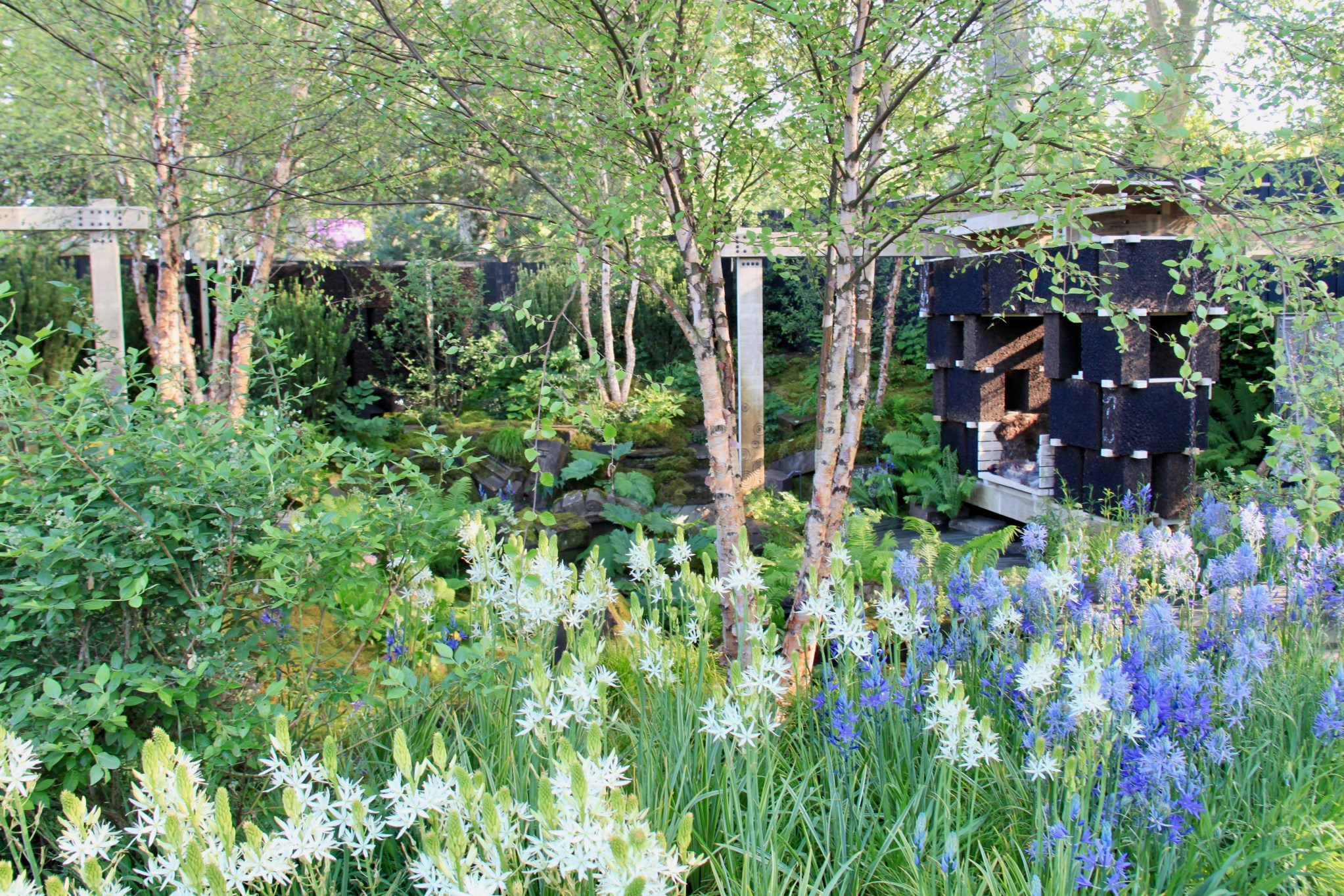Chelsea Show Gardens 2024 – Janna Schreier Garden Design